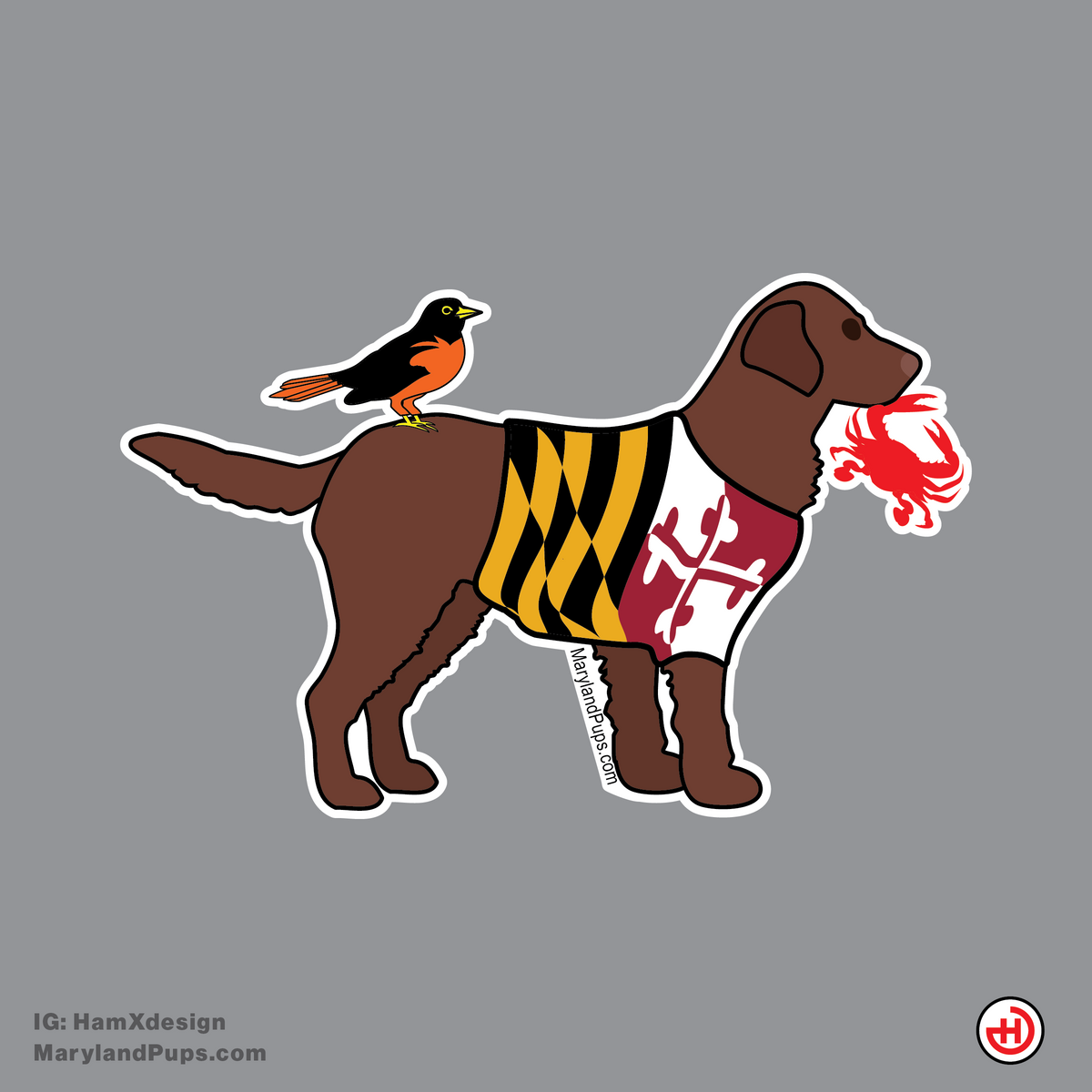 Maryland Pup - Chesapeake Bay Retriever Magnet – Ham's Designs