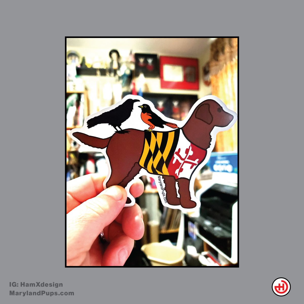 Maryland Pup - Bmore Birds – Ham's Designs